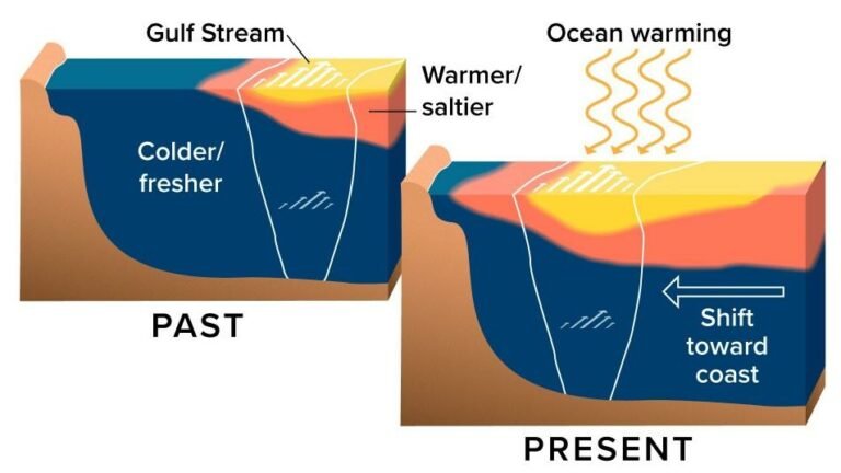 The Changing Gulf Stream: Warming and Shifting Closer to Shore